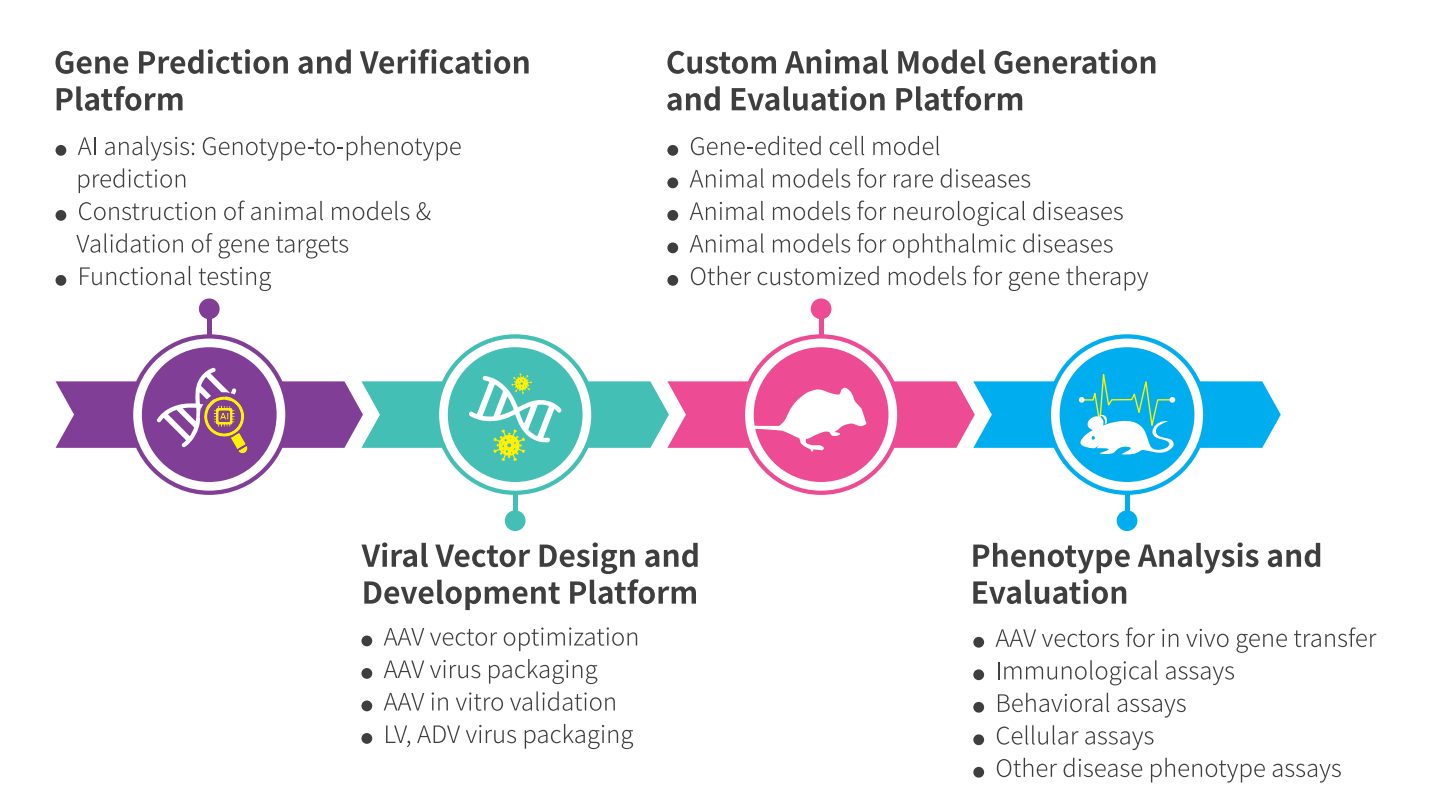 Knockout & Transgenic Mouse/Rat Models | Cyagen Korea