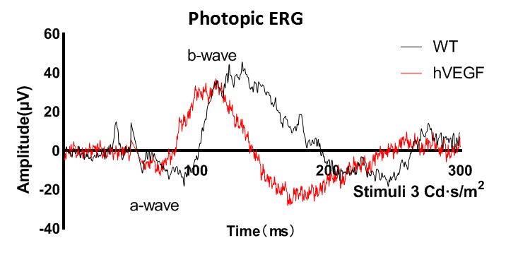 Knockout & Transgenic Mouse/Rat Models | Cyagen Korea
